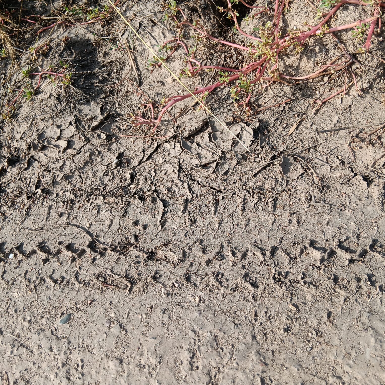 Christina Poggel und Beatrix Rinke | Die Kandidat:innen des 31. open ...